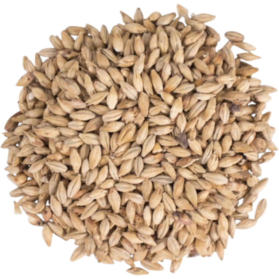 German Pale Wheat Malt | BrewCity Homebrew Supply